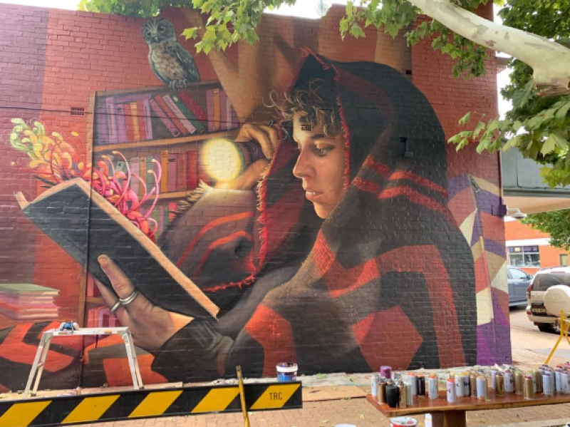 Launch of the Mural in the Mall - Barraba Community News