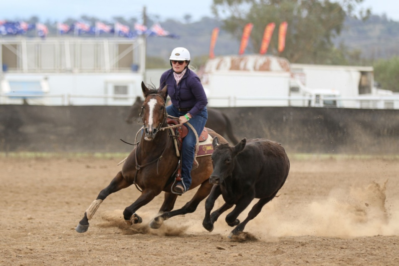 Barraba Show Campdraft - Barraba Community News