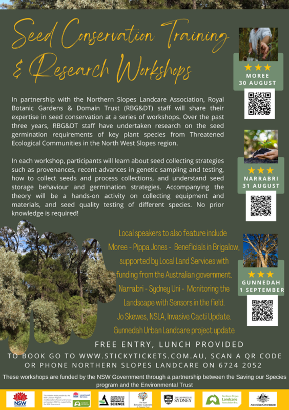 Seed Conservation workshop - Barraba Community News