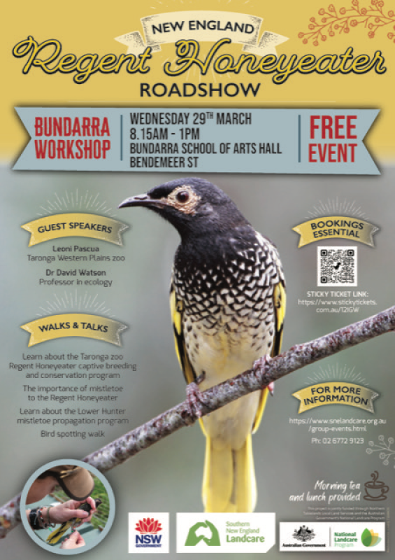 Regent Honeyeater Field Event - Barraba Community News