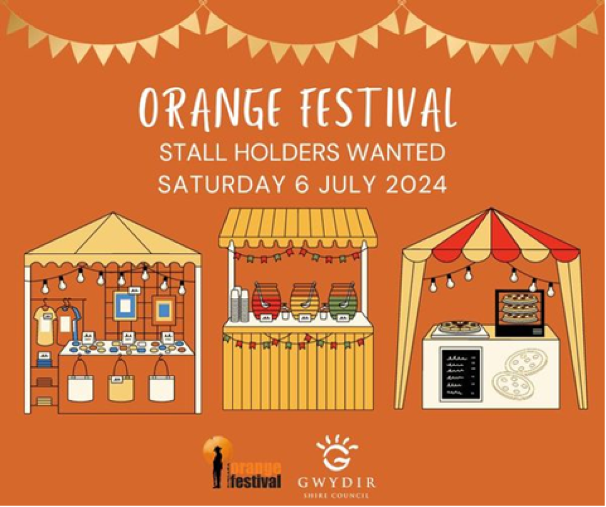 Orange Festival on in Bingara - Barraba Community News