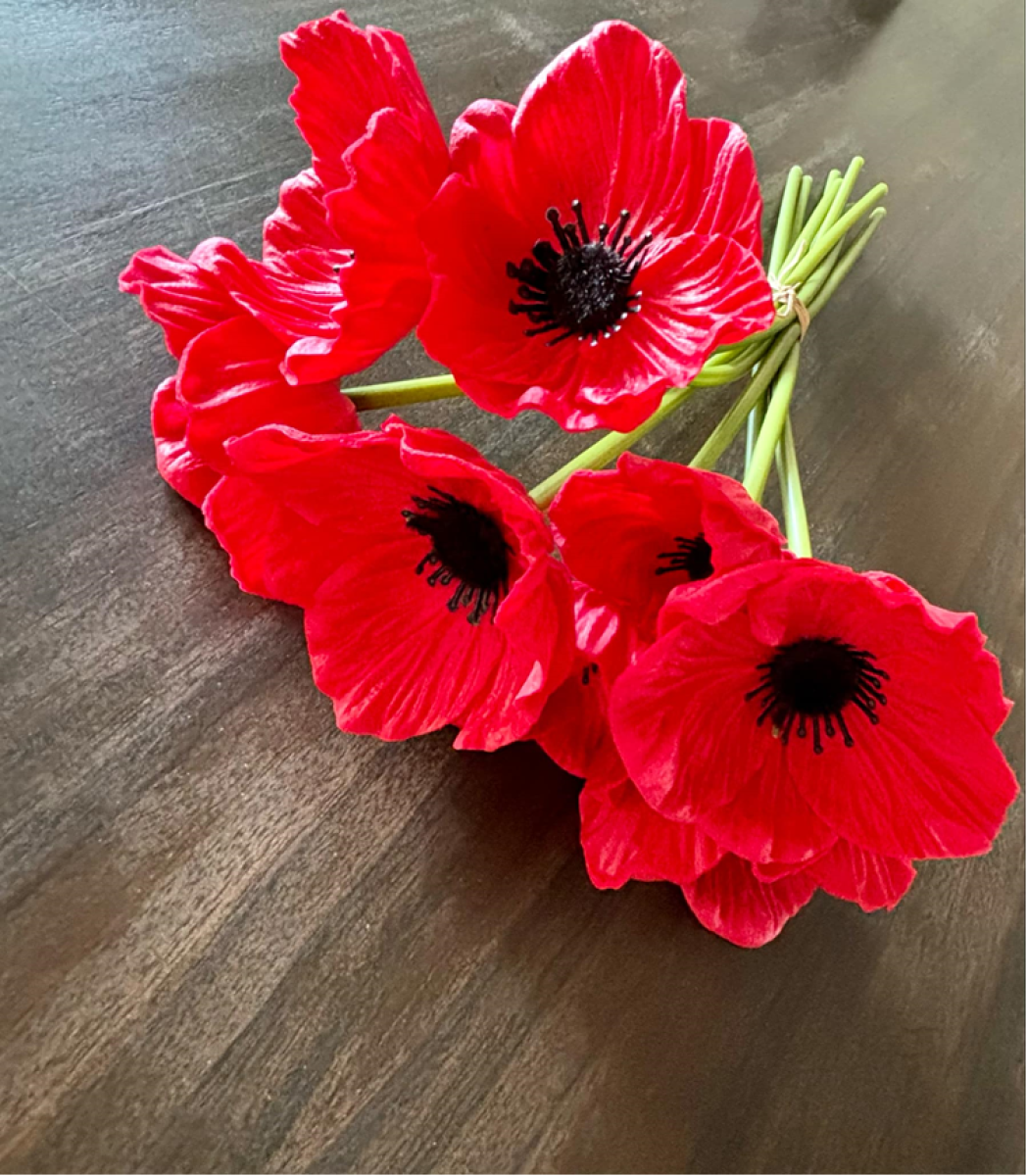 Get involved with the Poppy Project - Barraba Community News