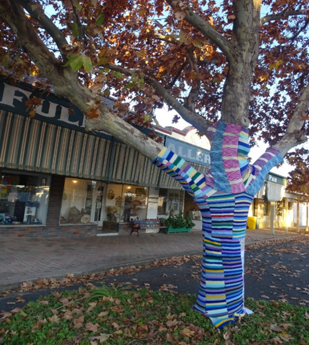 Join the Tree Bombing group at the Claypan on Fridays - Barraba ...