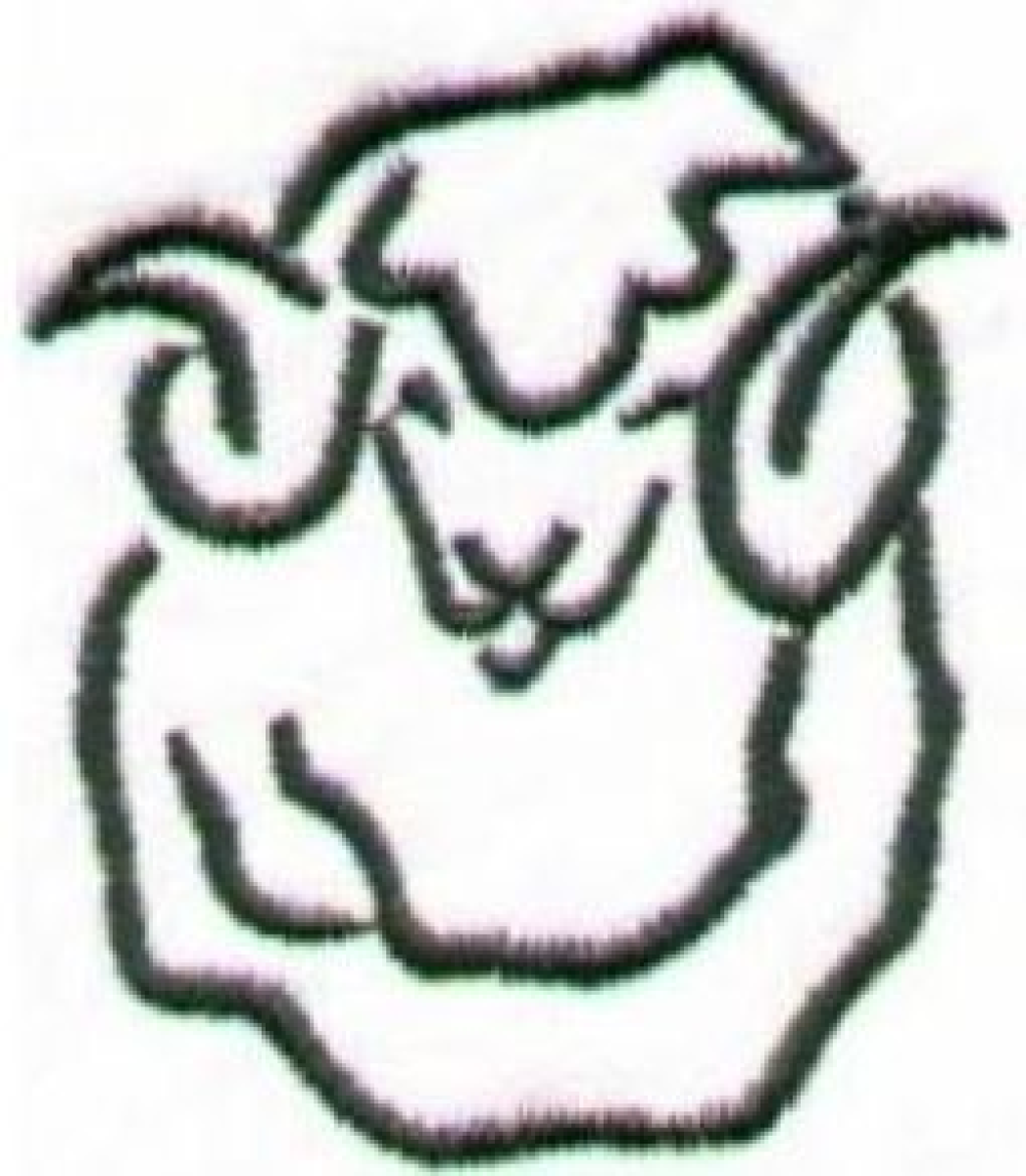 Barraba Rams Rugby Report – Inverell Away Game - Barraba Community News